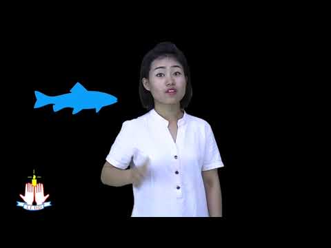 Deaf Culture | Literacy and Language Development for the Deaf
